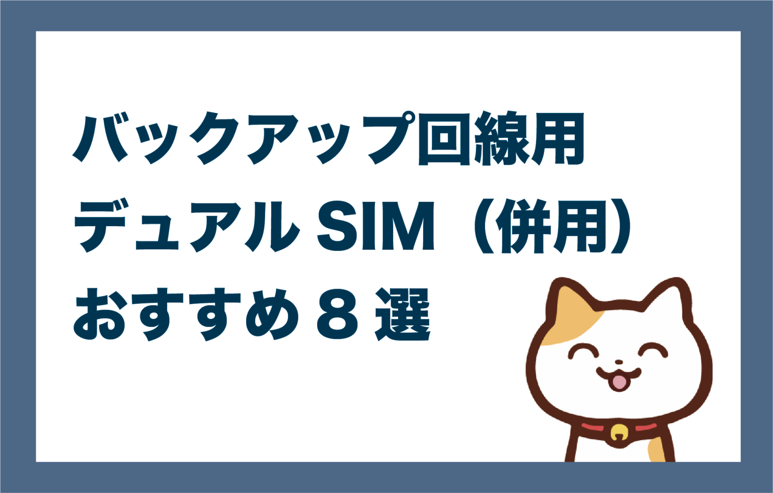 通信障害対策用副回線のデュアルSIM（併用）おすすめ回線8選 | necomaruLab